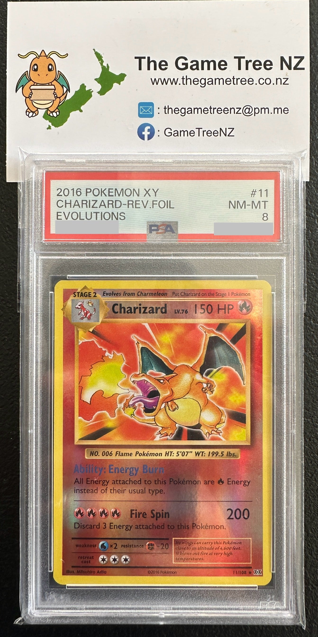 Charizard Corner – The Game Tree NZ