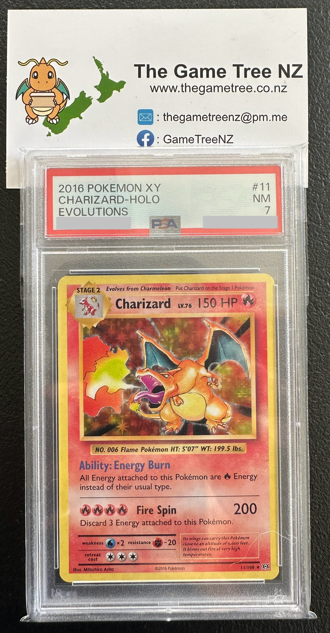 Charizard Corner – The Game Tree NZ